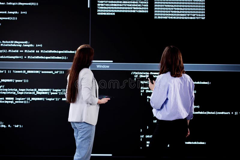 Female Programmer Developing Website on Office Computer Stock Photo ... Female Programmer Developing Website on Office Computer Stock Photo ...