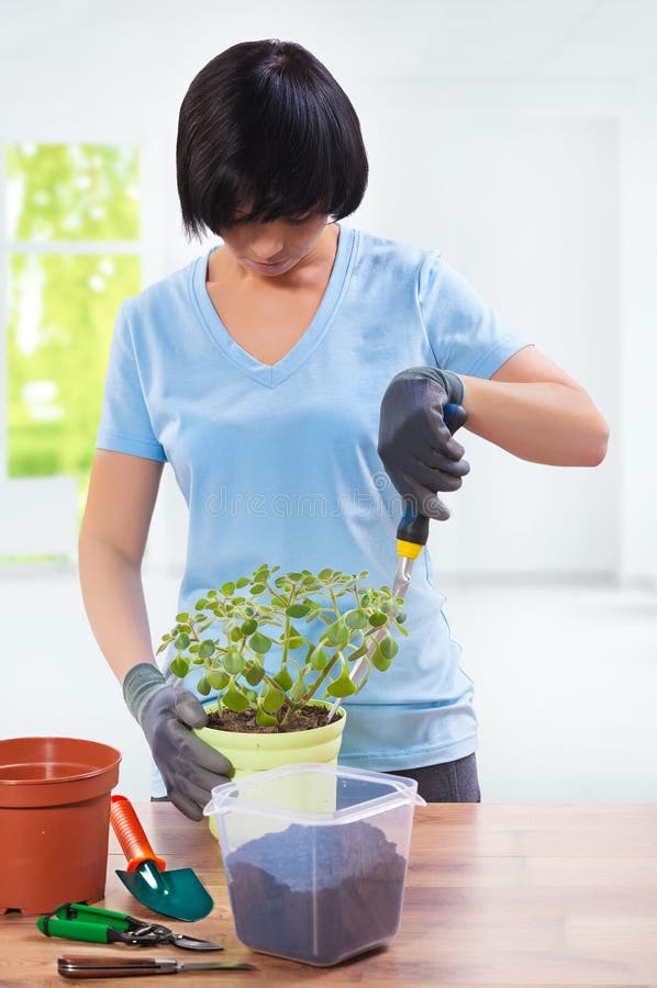 Female repot flowers stock photo. Image of aging, lifestyles - 37416068