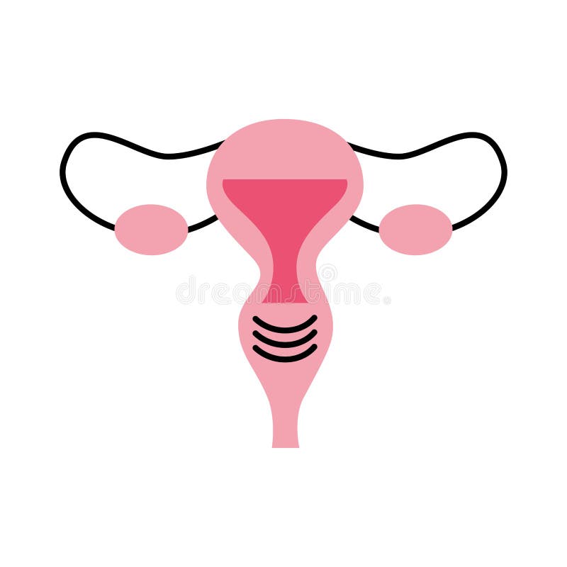 Female Reproductive Organ Icon Stock Vector - Illustration of biology ...