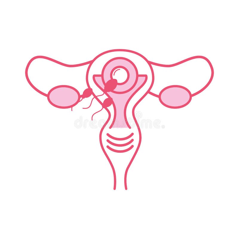 Female Reproductive Organ Icon Stock Vector - Illustration of medical ...
