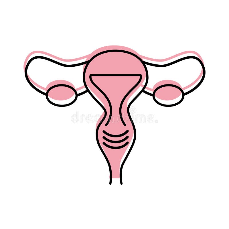 Female Reproductive Organ Icon Stock Vector - Illustration of design ...