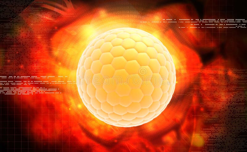 Female reproductive system stock illustration. Illustration of healthy ...