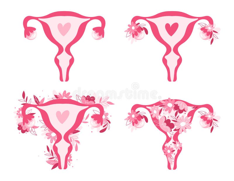 Female Reproductive System Set Hand Drawn Uterus Womb Female