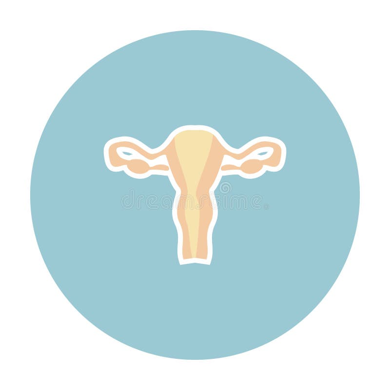 Female Reproductive System. Vector Illustration Decorative Design Stock ...