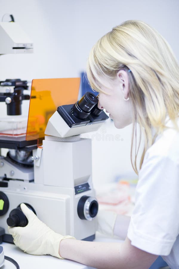 Female Researcher Doing Research in a Lab Stock Image - Image of ...