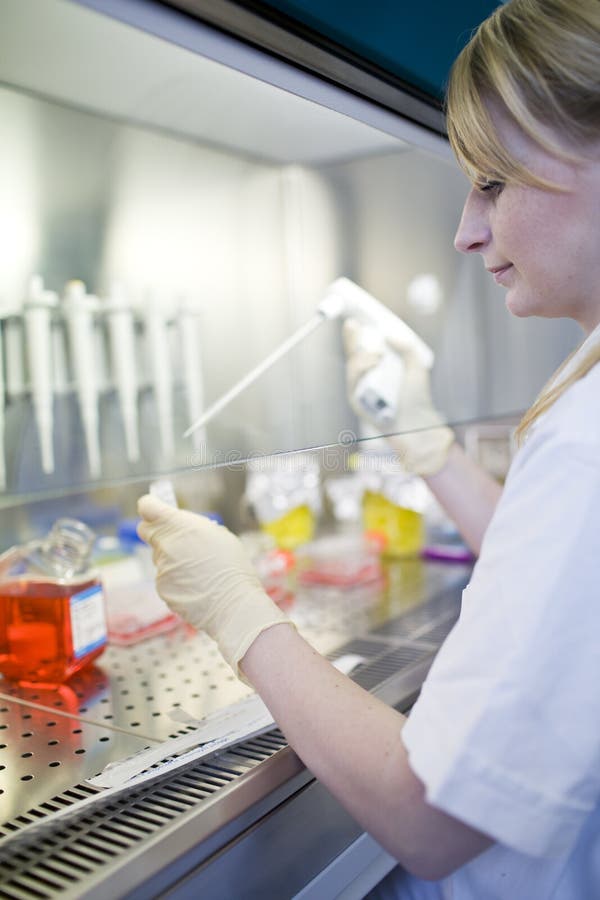 Female Researcher Doing Research in a Lab Stock Image - Image of modern ...