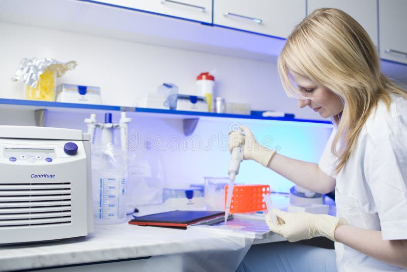 Female Researcher Doing Research in a Lab Stock Photo - Image of ...