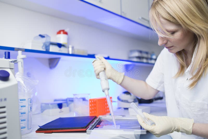 Female Researcher Doing Research in a Lab Stock Photo - Image of girl ...