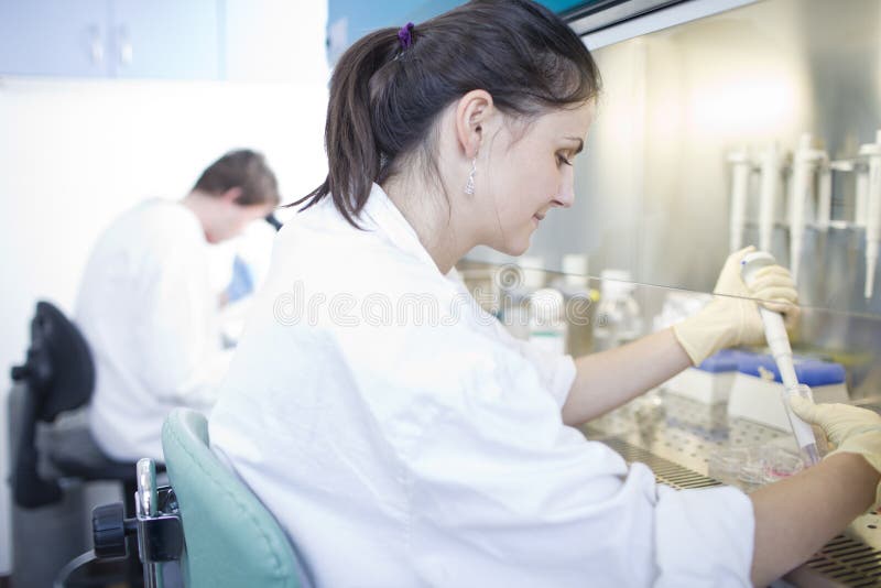 Female Researcher Doing Research in a Lab Stock Image - Image of ...