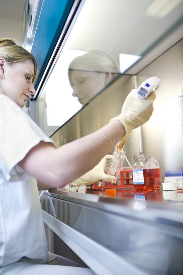 Female Researcher Doing Research in a Lab Stock Photo - Image of ...