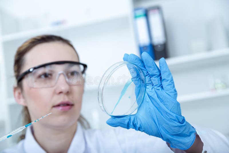 Female Researcher with Glass Equipment in the Lab Stock Photo - Image ...