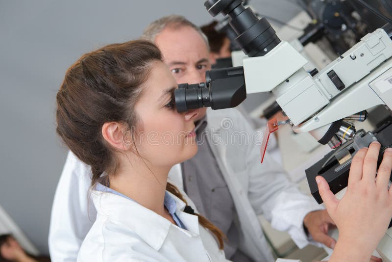Female Researcher Using Microscope Stock Photo - Image of gloves ...