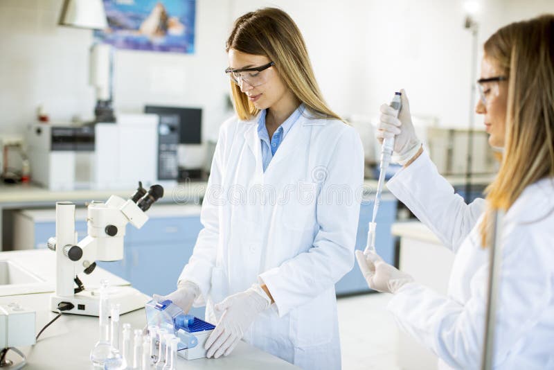 Female Researchers in White Lab Coat Working in the Laboratory Stock ...