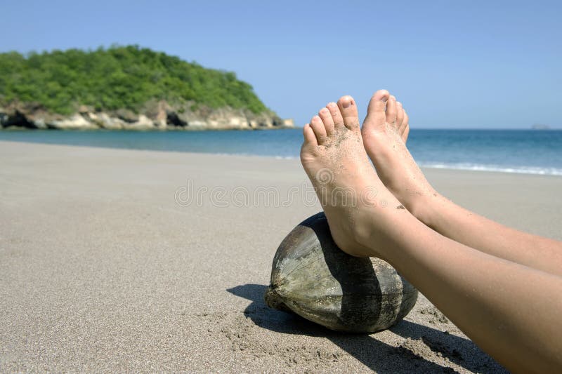 Female Resting Coconut Tropical Beach Costa Rica Stock Image Image Of