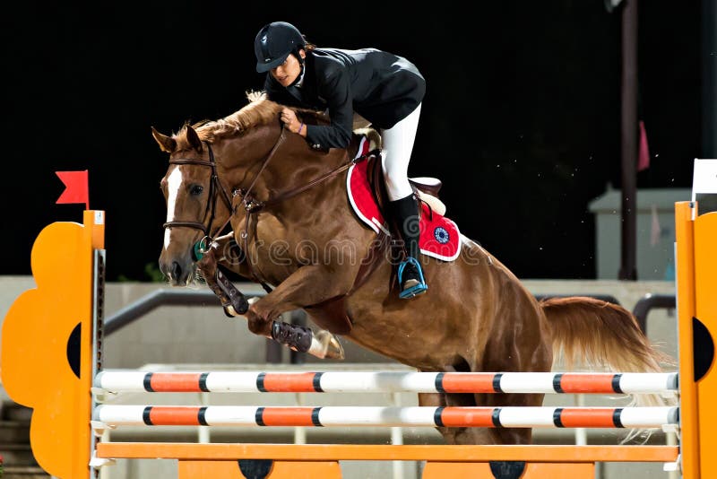 Female Rider Participates in Horse Jumping Editorial Stock Image ...