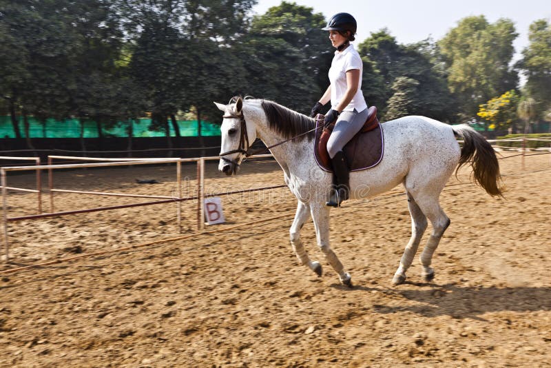 Female Rider Trains the Horse Stock Photo - Image of race, equestrian ...