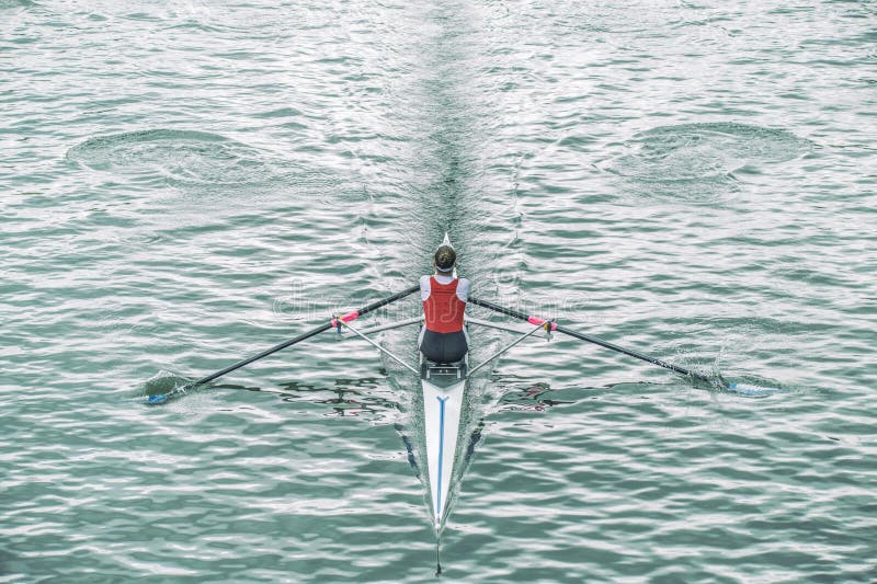 Female rower top view stock photo. Image of oars, competition - 312517946