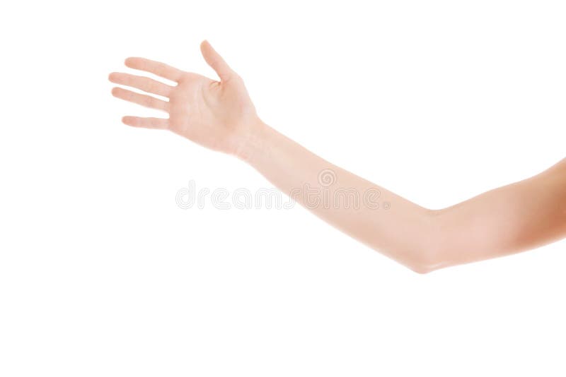 Female S Hand Stretched Out. Stock Photo - Image of lifestyle, adult ...