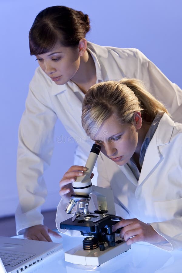 Female Scientific Research Team Using Microscopes in a Laboratory Stock ...