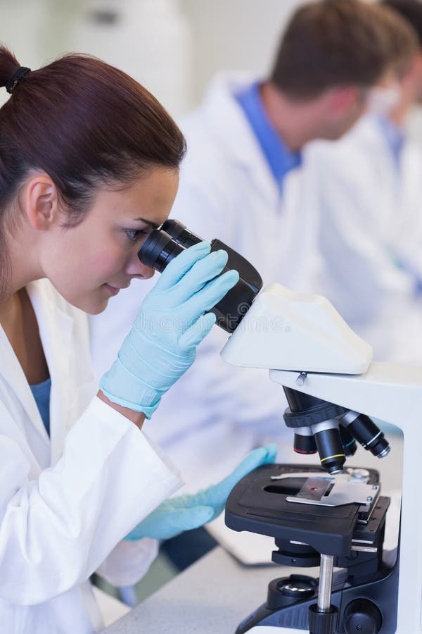 Female Scientific Researcher Using Microscope in Lab Stock Image ...