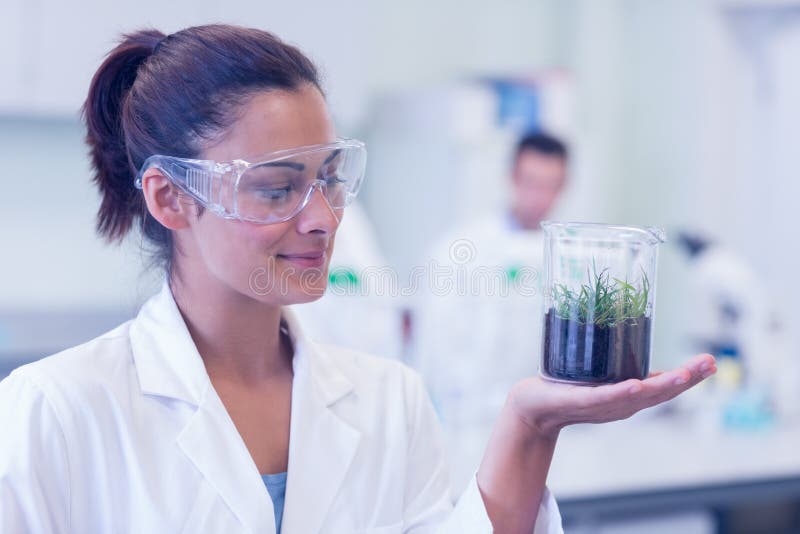 Female Scientist Analyzing a Young Plant at Lab Stock Photo - Image of ...
