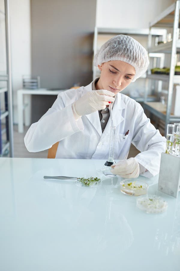 Female Scientist Doing Experiments in Laboratory Stock Image - Image of ...