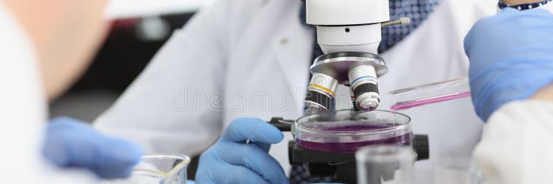Female Scientist Explore Purple Sample Under Microscope in Laboratory ...