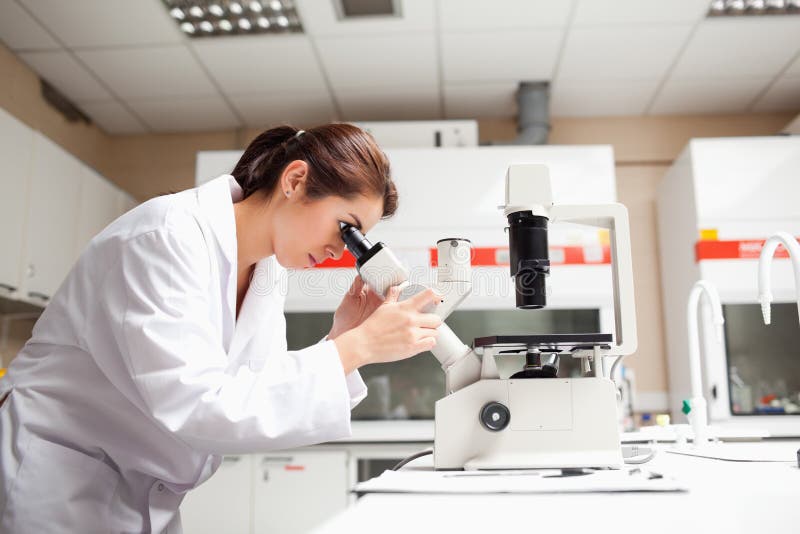 Female Scientist Looking in a Microscope Stock Photo - Image of race ...