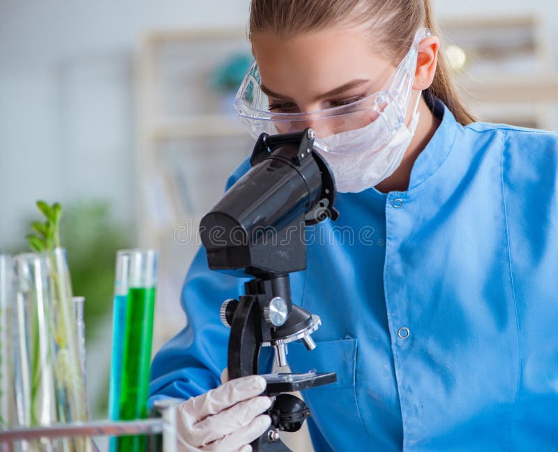 Female Scientist Researcher Conducting an Experiment in a Labora Stock ...