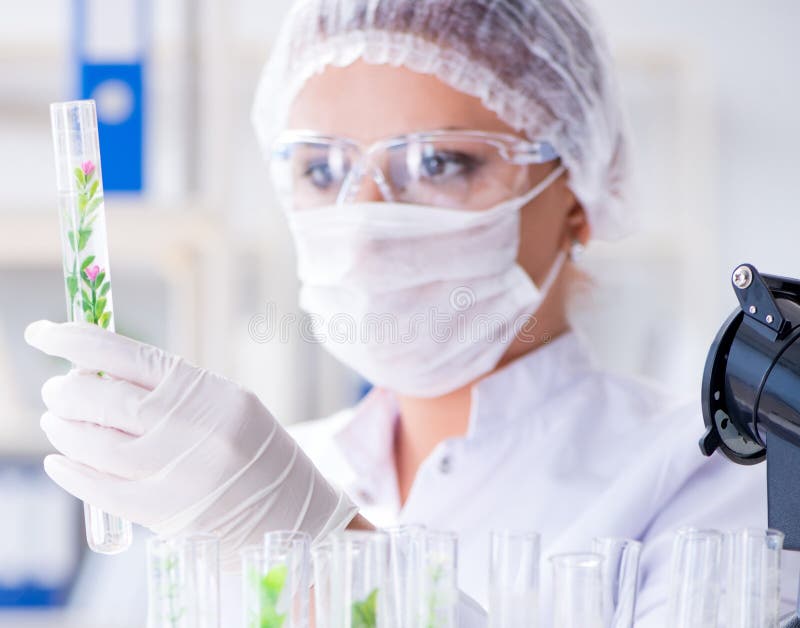 Female Scientist Researcher Conducting an Experiment in a Labora Stock ...