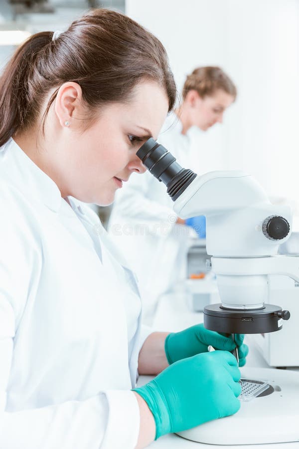 Female Scientist Using Microscope in Lab Stock Photo - Image of ...