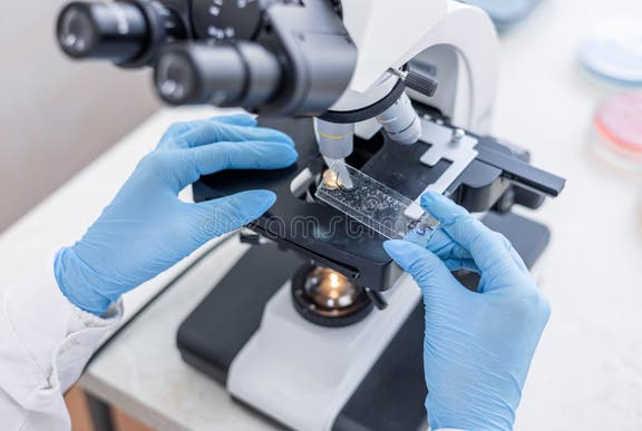 Female Scientist Using Microscope in Laboratory. Biotechnology ...