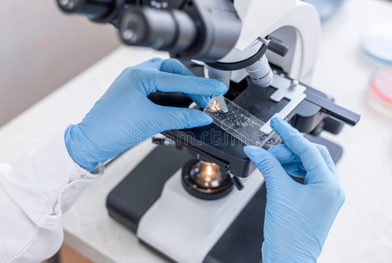 Female Scientist Using Microscope in Laboratory. Biotechnology ...