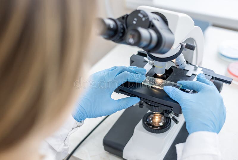 Female Scientist Using Microscope in Laboratory. Biotechnology ...