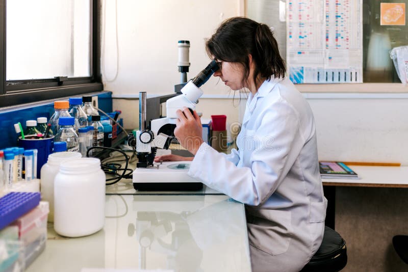Female Scientist Using Microscopy in Laboratory Stock Photo - Image of ...
