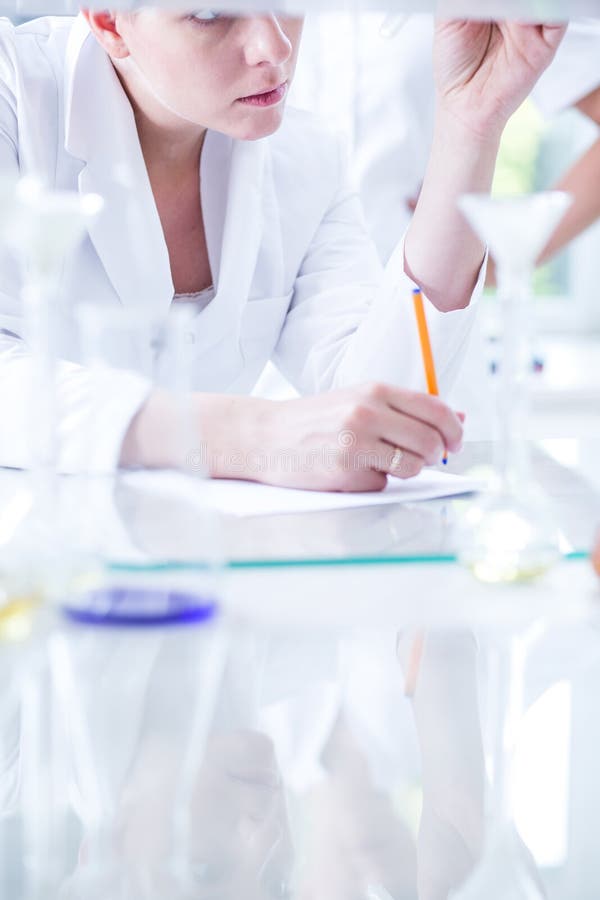 Scientist at work stock image. Image of research, science - 79823