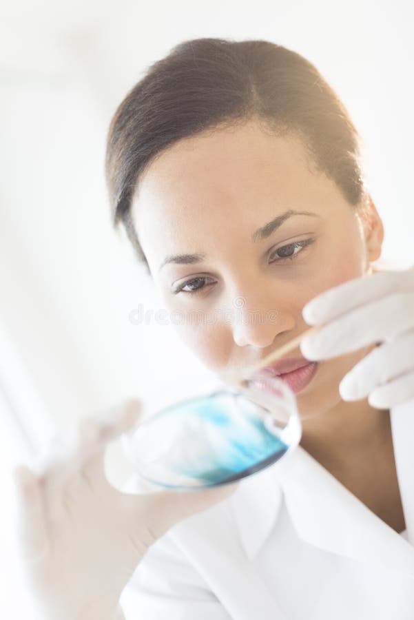 Female Scientist Working on Solution in Laboratory Stock Image - Image ...