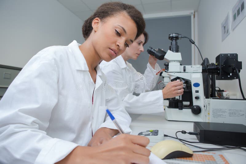 Female Scientist Works in Modern Biological Laboratory Stock Photo ...