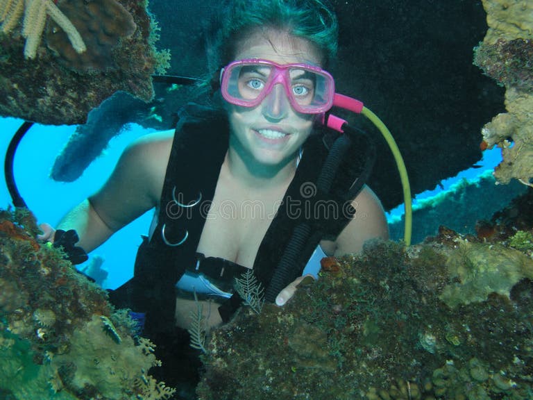 2,347 Scuba Regulator Stock Photos - Free & Royalty-Free Stock Photos ...