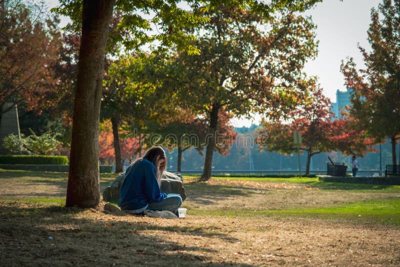 Female Seen from Behind, Sitting Under a Tree in a Green Park on a ...