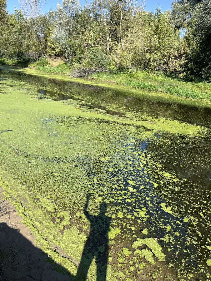 Female Shadow on Yellow River Sand Stock Image - Image of travel, coast ...