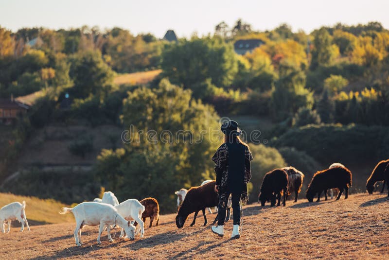 A Female Shepherd Grazes Sheep and Goats on a Meadow Stock Image ...
