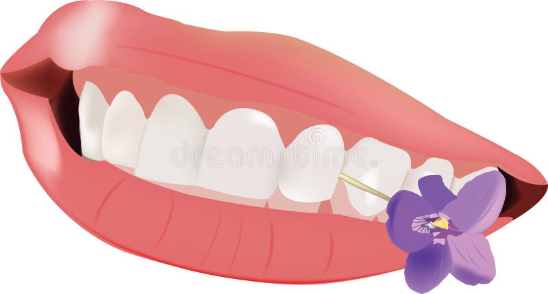 Female Smile with a Flower between Her Teeth Purple- Stock Vector ...