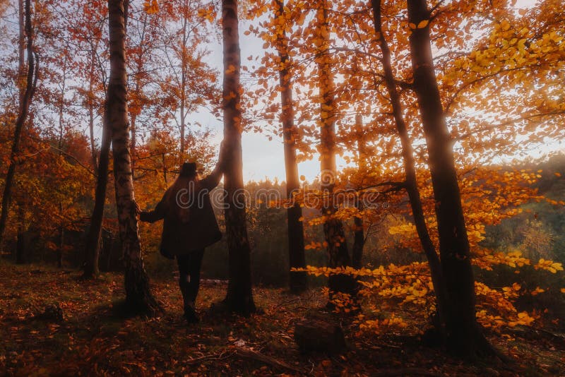 Female Standing between Trees in the Forest at Scenic Sunset Stock ...
