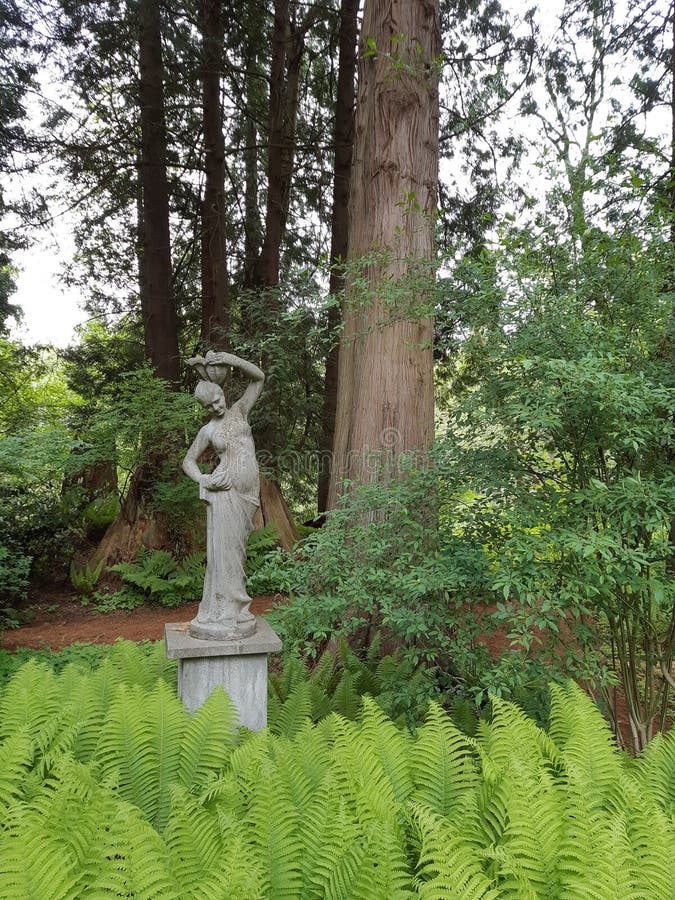 Female Statue in the Forest Stock Image - Image of statue, trees: 149407197