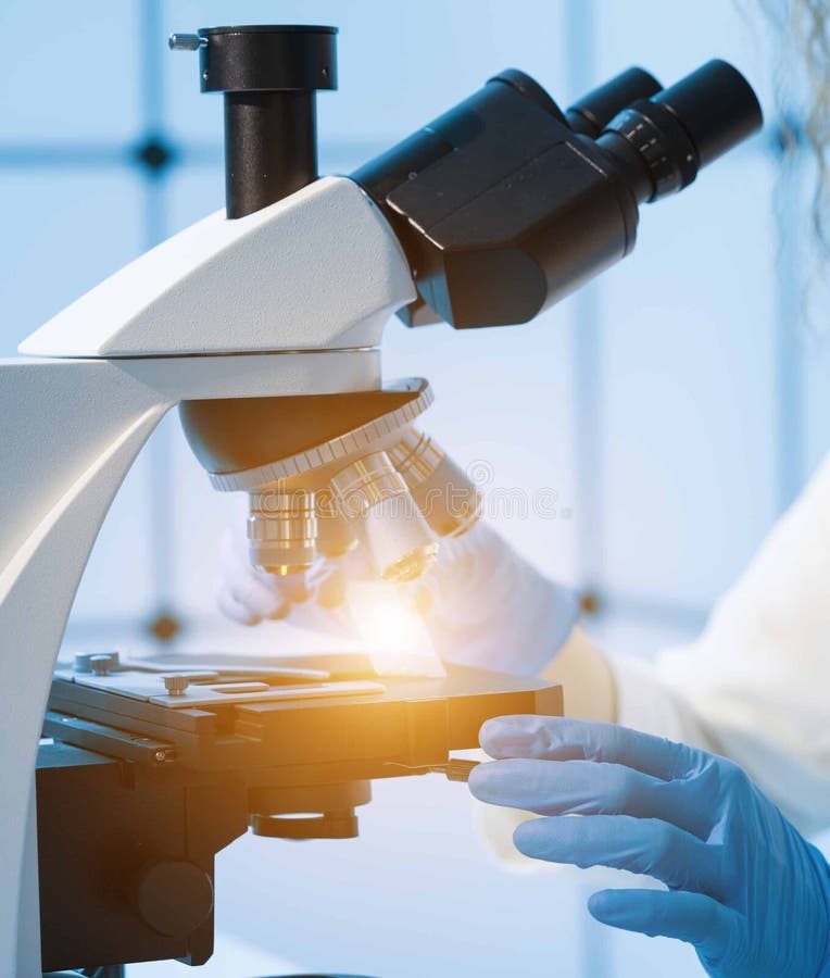 Female Student in Vertebrate Biology Laboratory Stock Photo - Image of ...