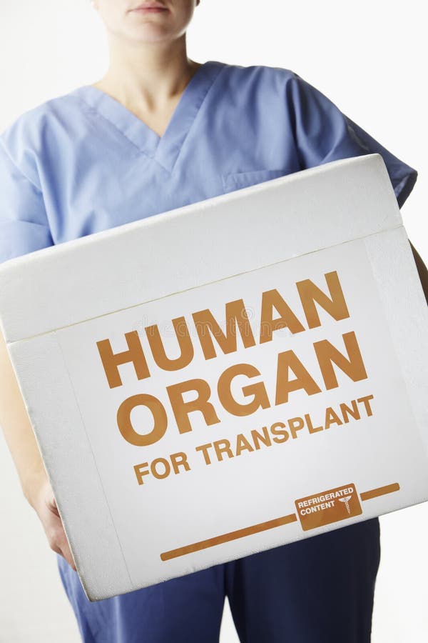 Female Surgeon Carrying Transplant Organ Box Stock Photo - Image of ...