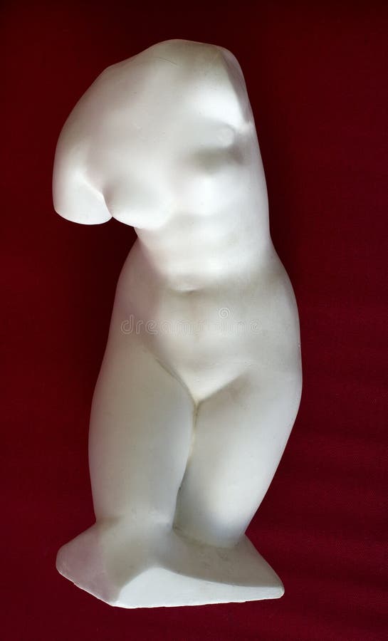 Female Torso, Plaster Model, Cast, Object for Drawing. the Study of Human Anatomy. Model for ...