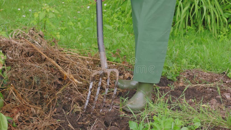 Female with an Unrecognized Face Dig the Ground Stock Video - Video of ...