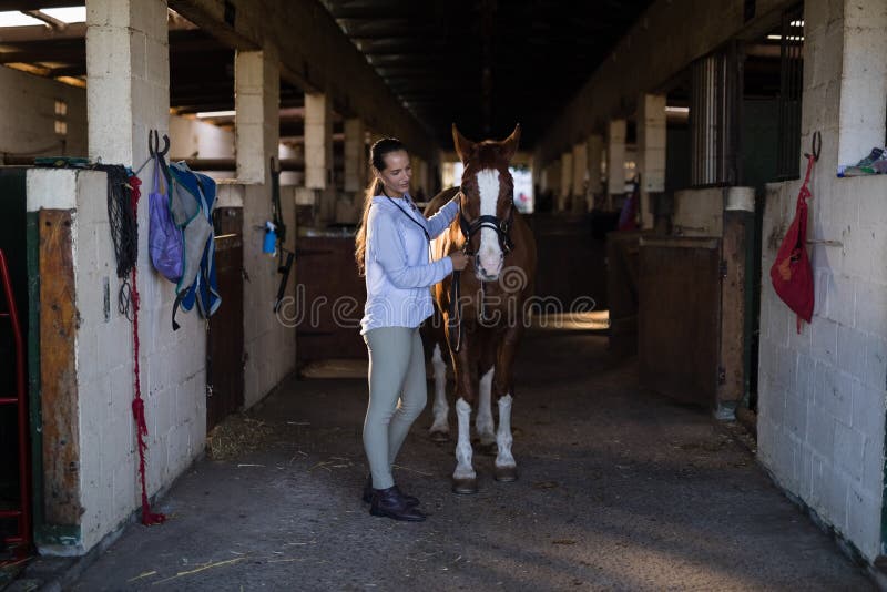 Female Vet Examining Horse at Stable Stock Image - Image of check ...